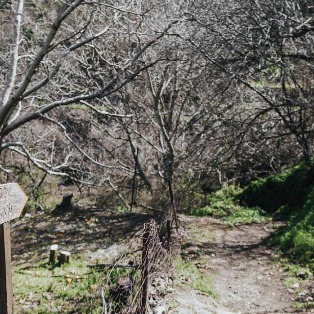 Nature Trail – The Baths of Rigena and Chlio | Visit Solea