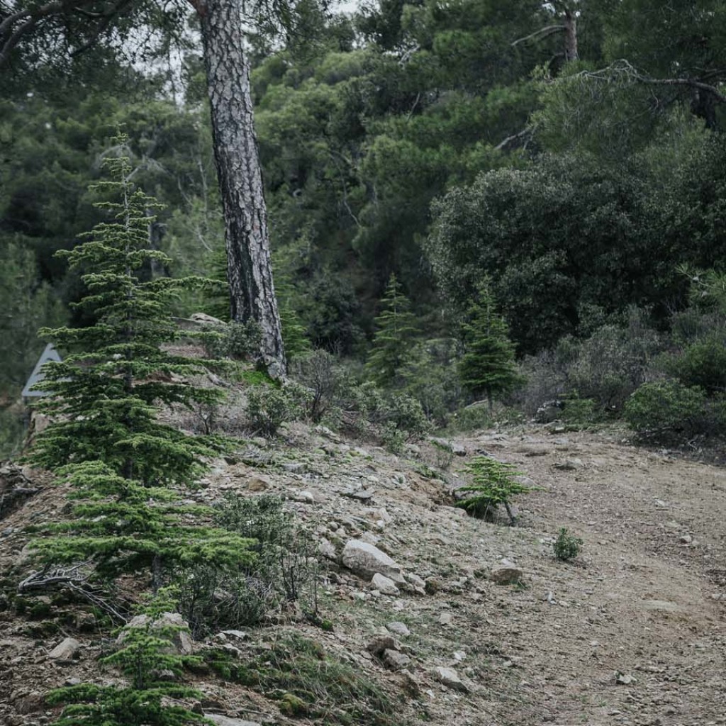 Μονοπάτι της φυσης Δόξα σοι ο Θεός – Πυροφυλάκιο Μαδαρής | Visit Solea