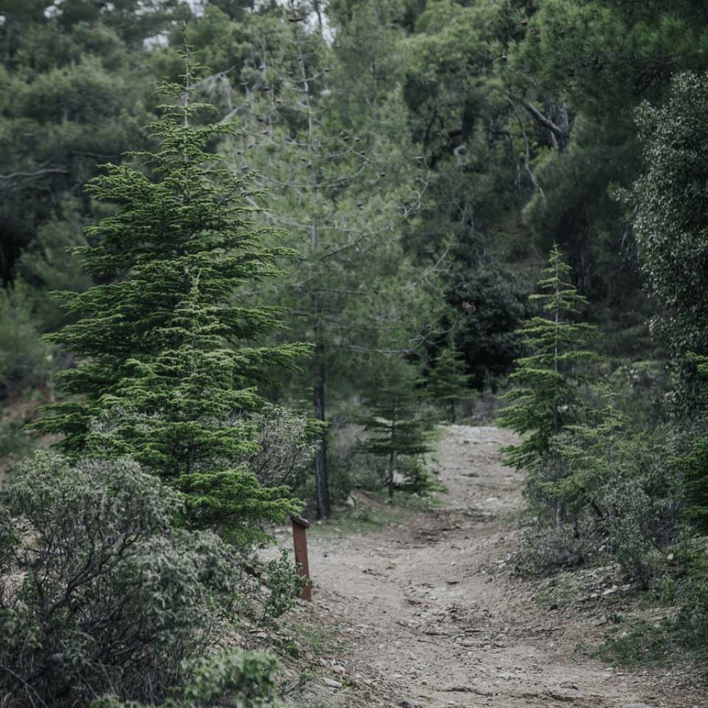 Μονοπάτι της φυσης Δόξα σοι ο Θεός – Πυροφυλάκιο Μαδαρής | Visit Solea