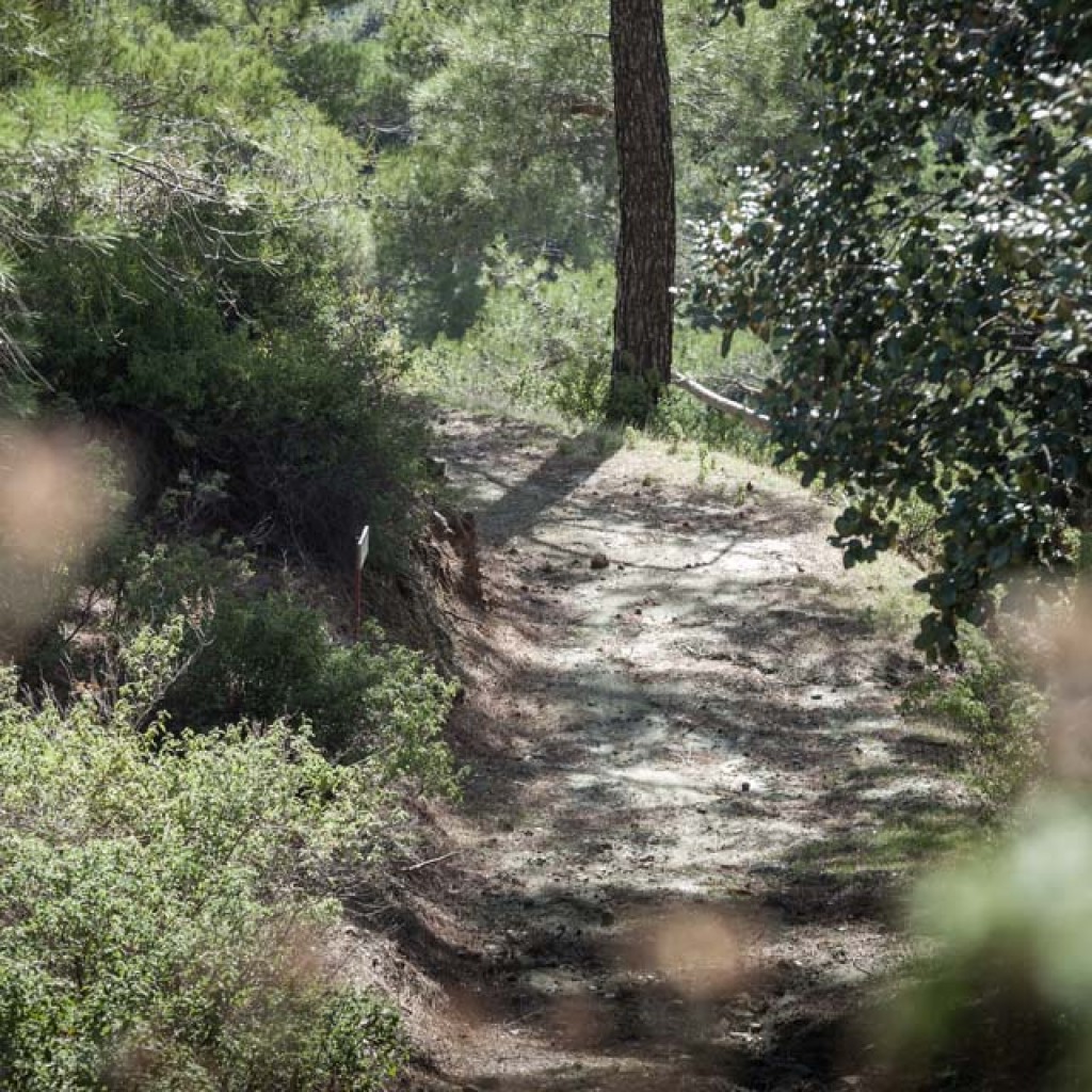 Μονοπάτι της Φύσης Κούρδαλι – Λημέρια | Visit Solea